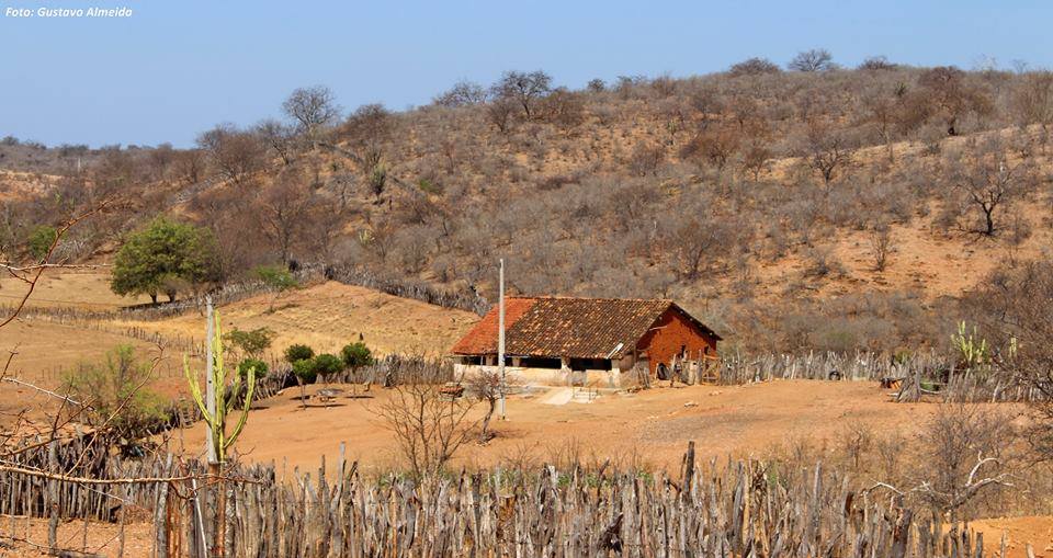 O Brasil precisa amar e proteger a Caatinga